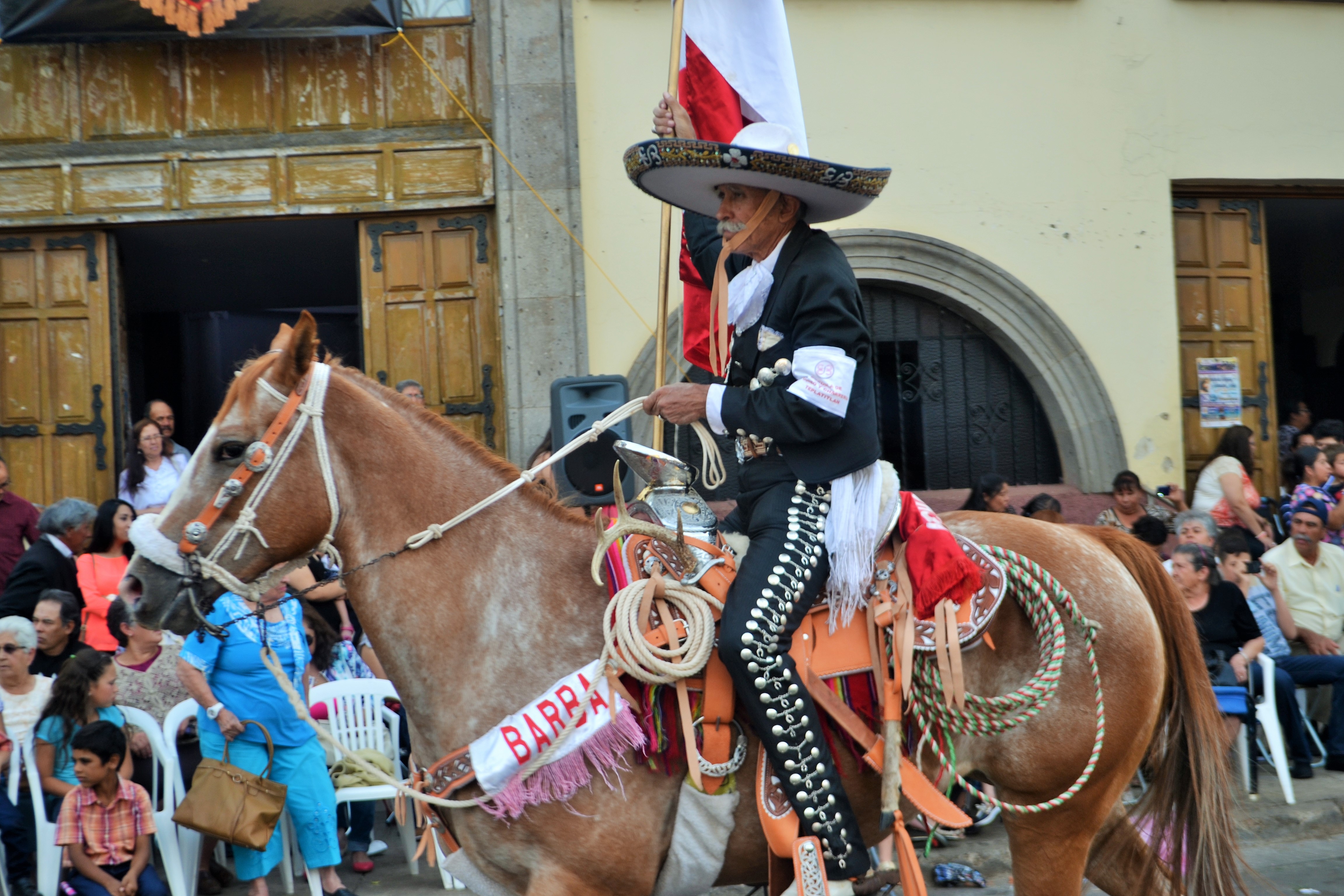 El tordillo cabalgó al cielo | CRÓNICA | Kiosco Informativo